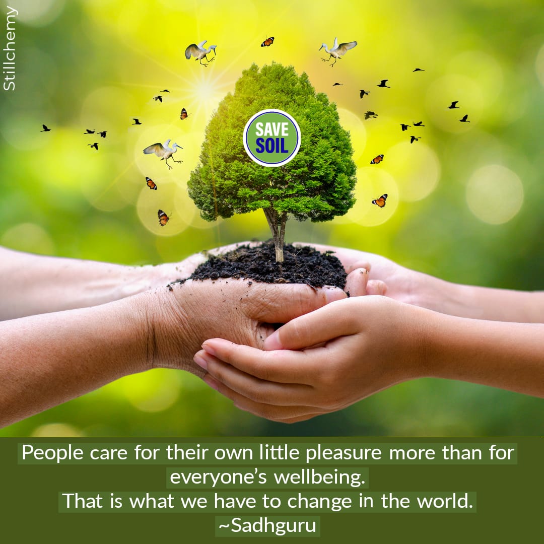 111 Save Soil Quotes to Inspire Action for a Healthier Planet! - Stillchemy