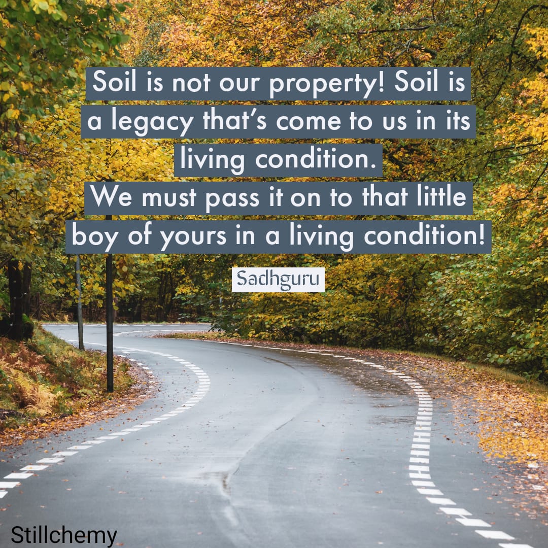 111 Save Soil Quotes to Inspire Action for a Healthier Planet! - Stillchemy