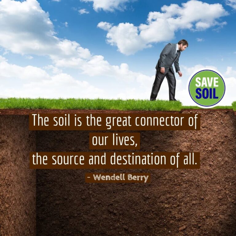 111 Save Soil Quotes to Inspire Action for a Healthier Planet! - Stillchemy