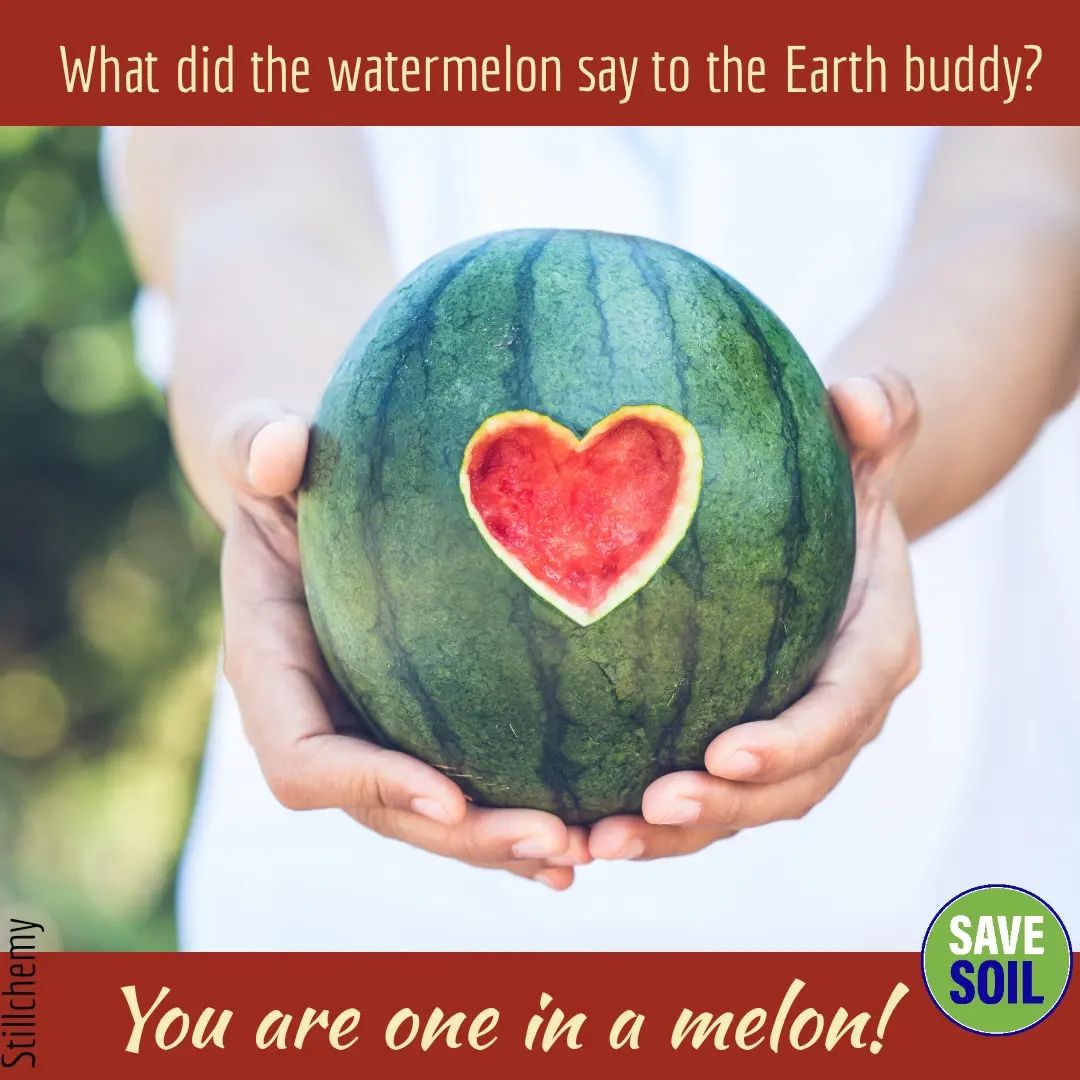 111 Save Soil Quotes to Inspire Action for a Healthier Planet! - Stillchemy