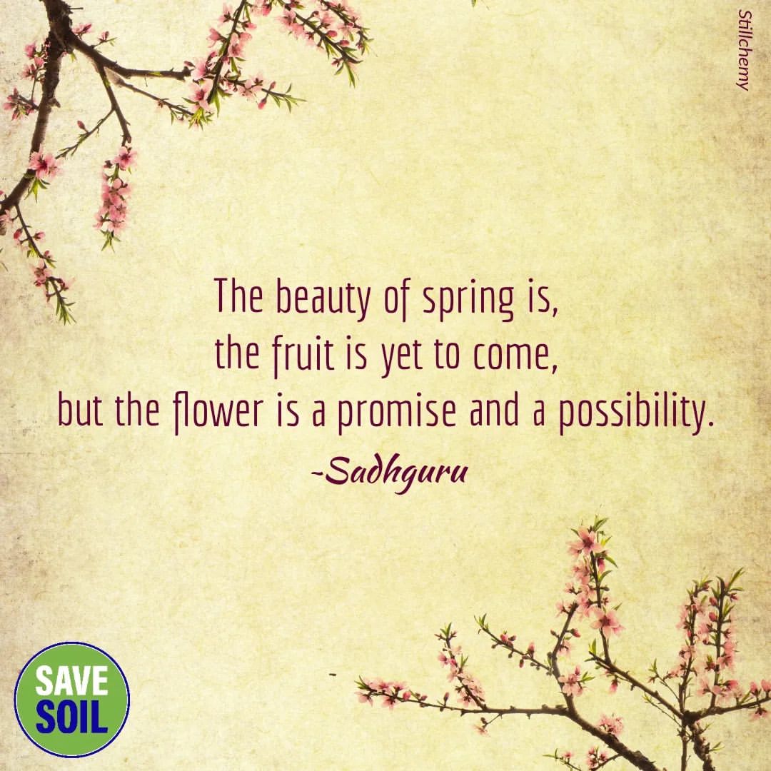 111 Save Soil Quotes to Inspire Action for a Healthier Planet! - Stillchemy
